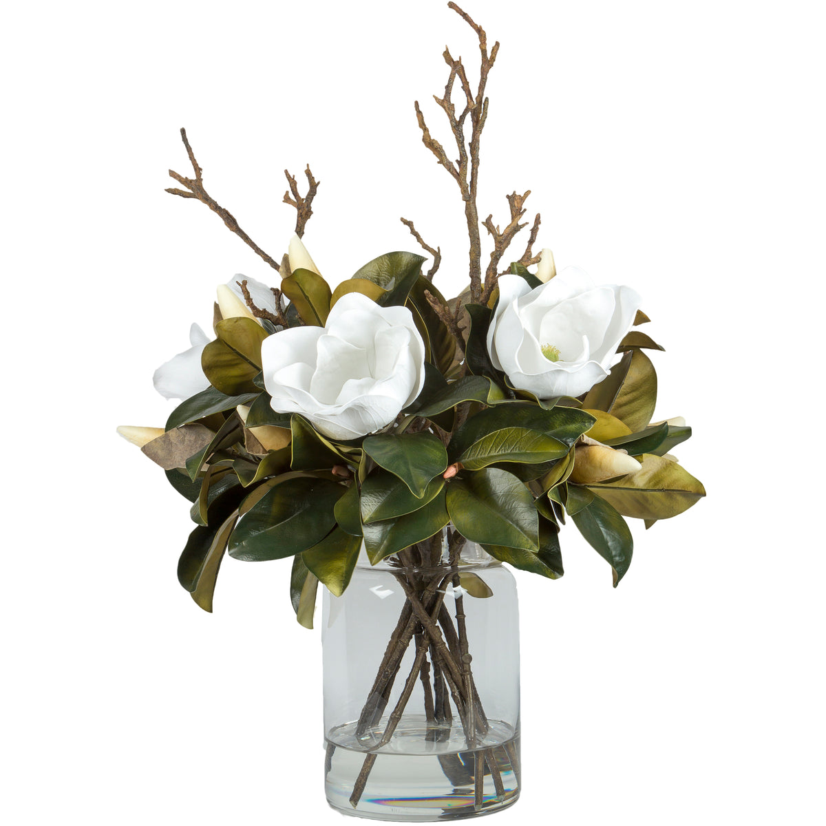 Magnolia Pail - Large – Ambius Indoor Plants Australia