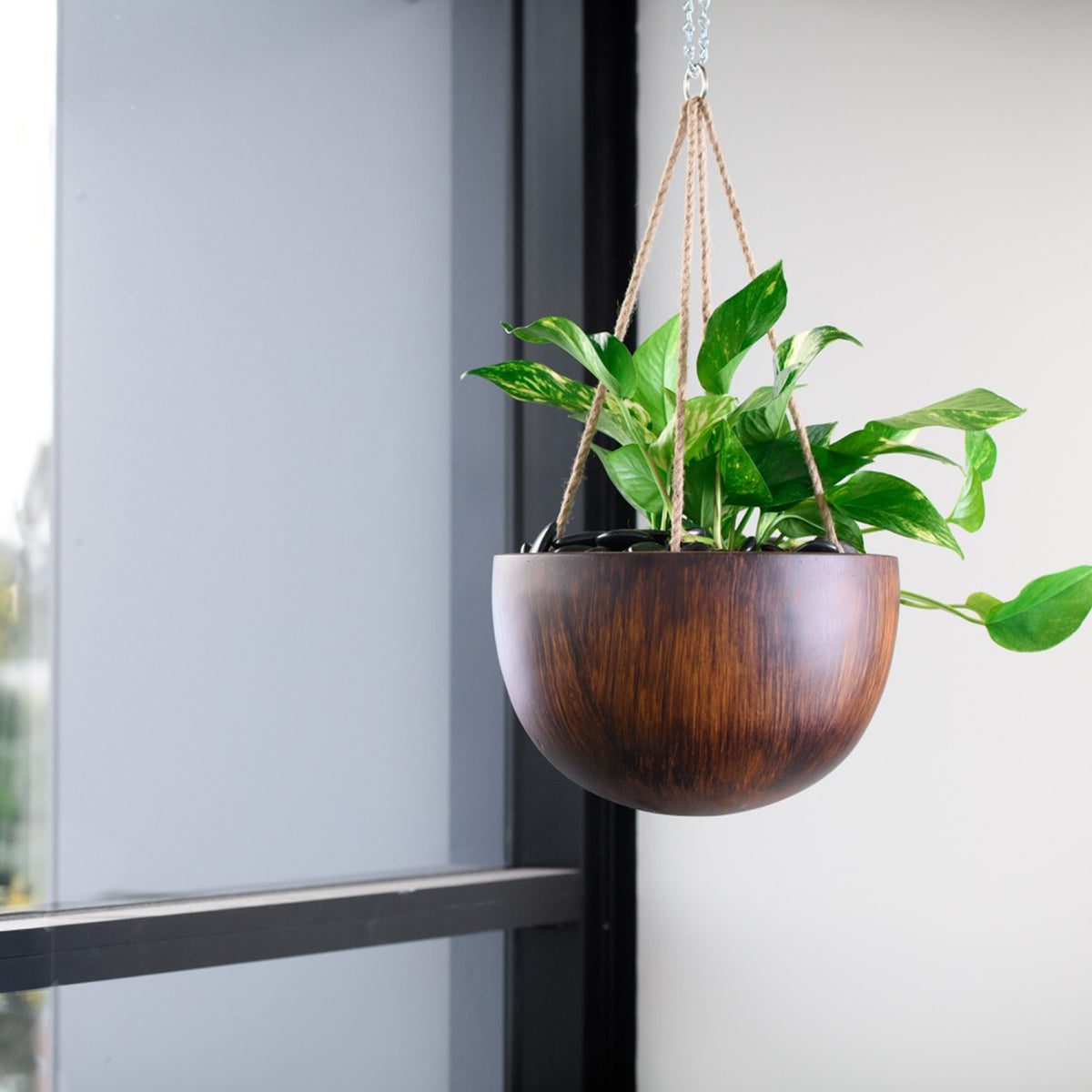 Corinda – Ambius Indoor Plants Australia