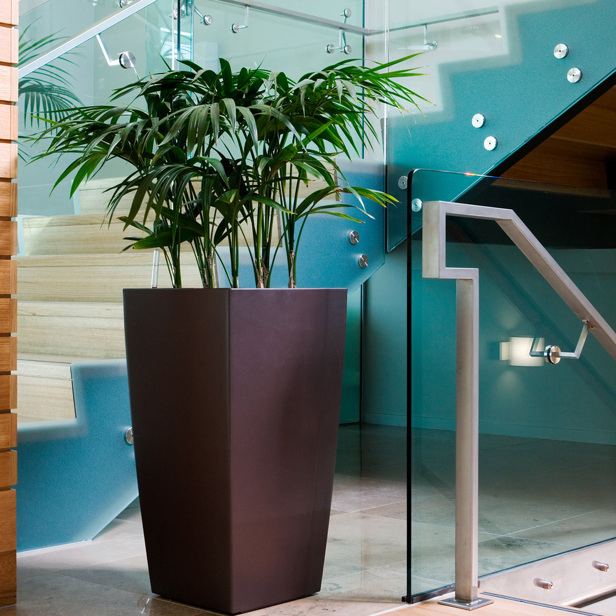 Cubic 40 – Ambius Indoor Plants Australia