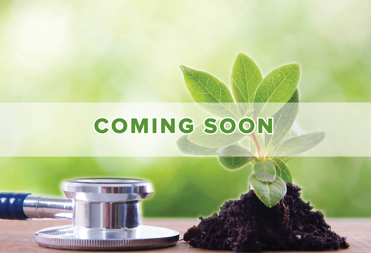 Plant Health Check - Coming Soon – Ambius Indoor Plants Australia